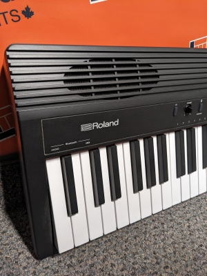 Gear Hunter | Roland - GO-88P